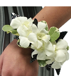 Prom | Flower Delivery Akron OH by House of Plants